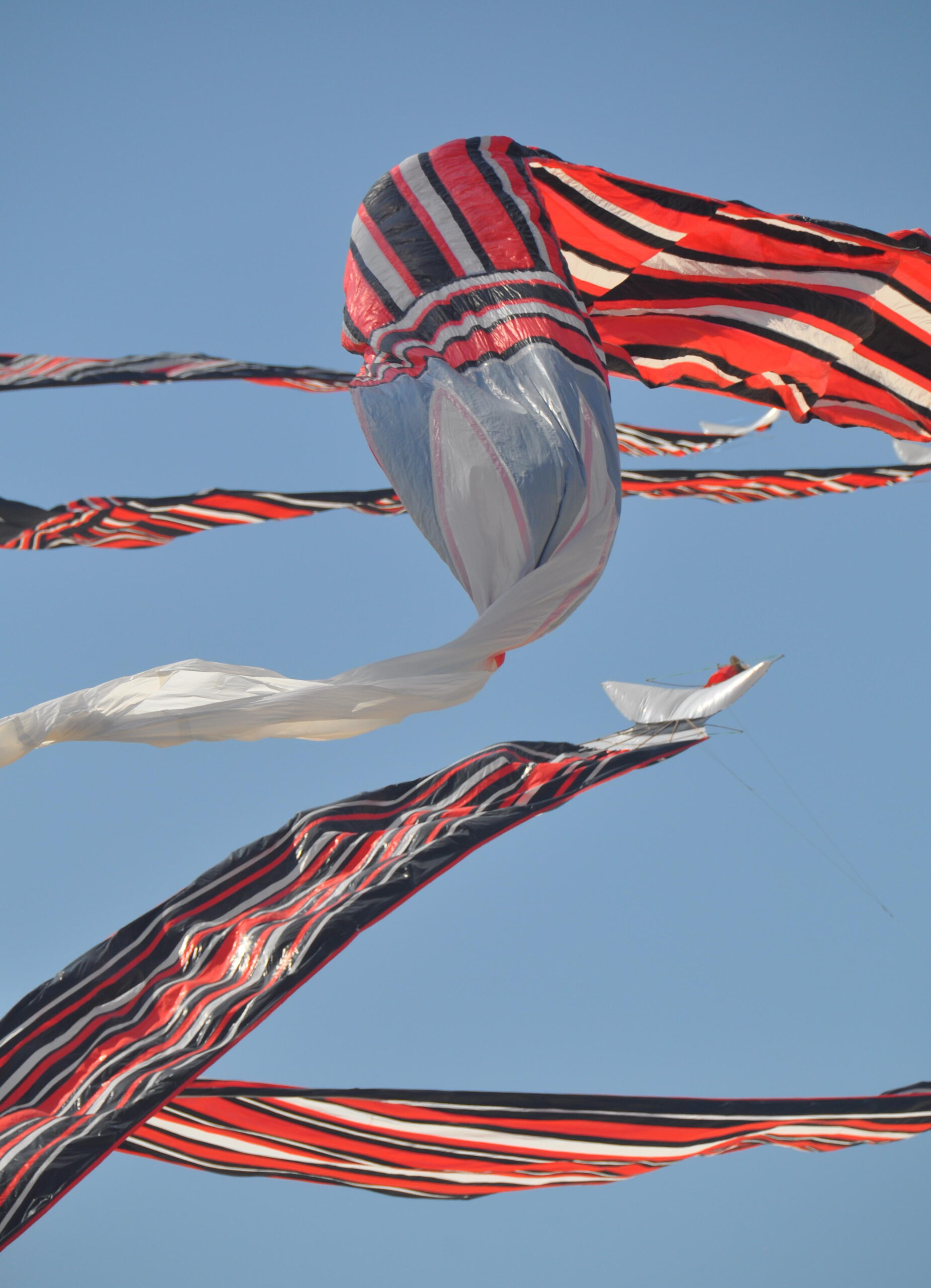 Balinese kites – BAKCEX